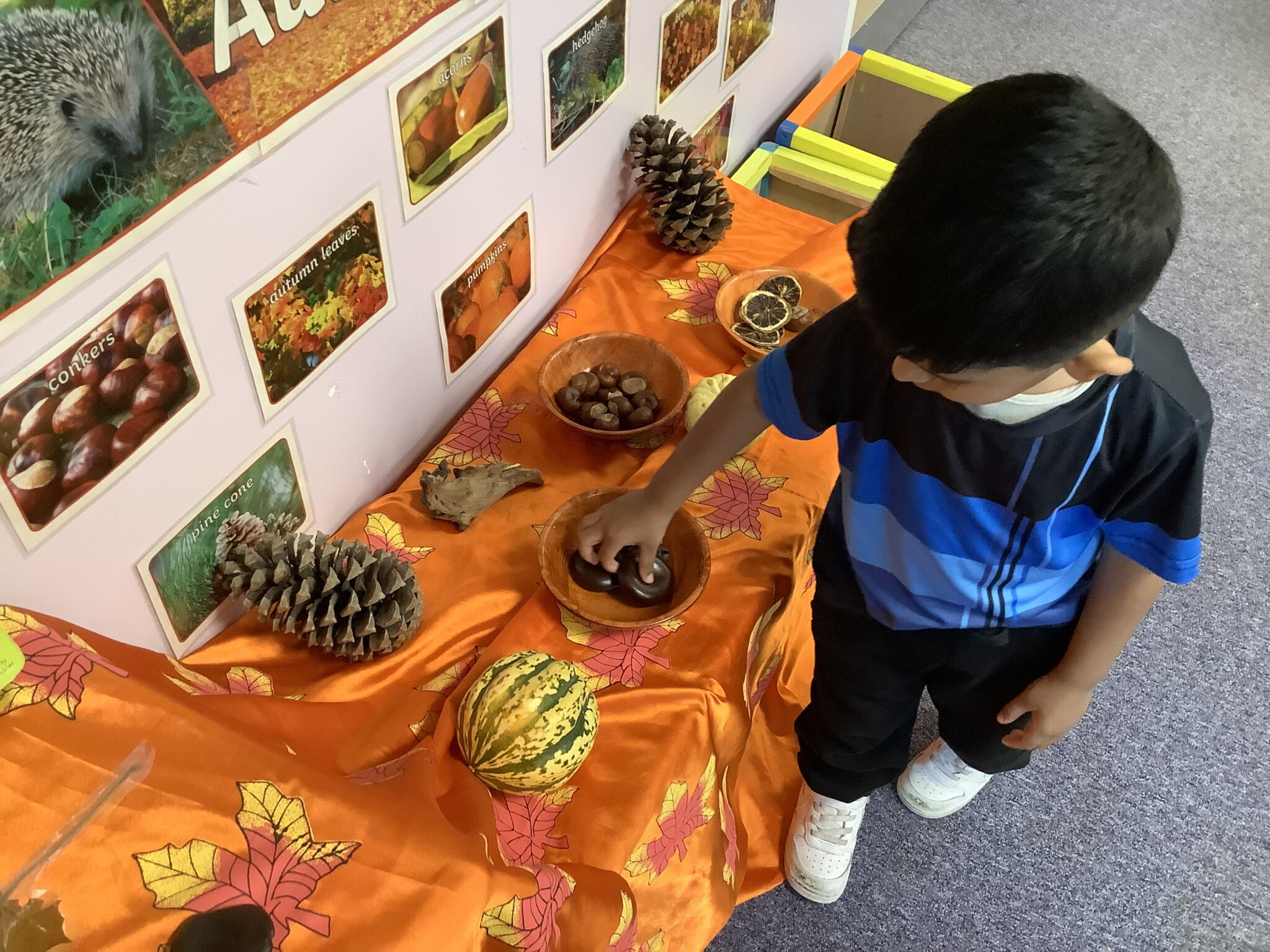 Sparkling Fireworks and Autumn Adventures in 2YN – Beckfoot Heaton ...
